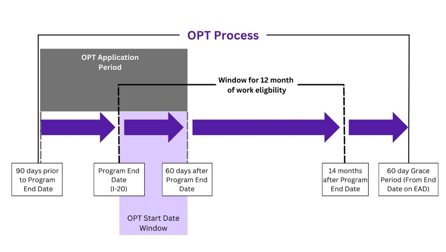 International Services | OPT